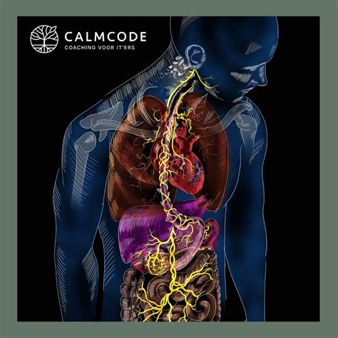 Nietpratenmaardoen Calmcode Coaching Rust Ontspanning
