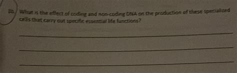 What Is The Effect Of Coding And Non Coding Dna On The Production Of