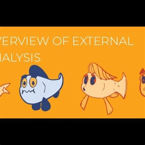 Video External Analysis Overview