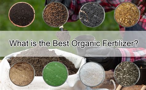 Organic Fertilizer Examples Mix It Up Homemade Organic Fertilizer