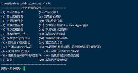 宝塔面板密码忘记了如何找回，最新版本宝塔密码如何找回？ 31idc