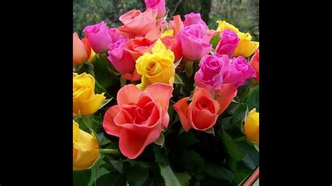 С ДНЕМ РОЖДЕНИЯ КРАСИВАЯ МУЗЫКАЛЬНАЯ ОТКРЫТКА ПОЗДРАВЛЕНИЕ Youtube