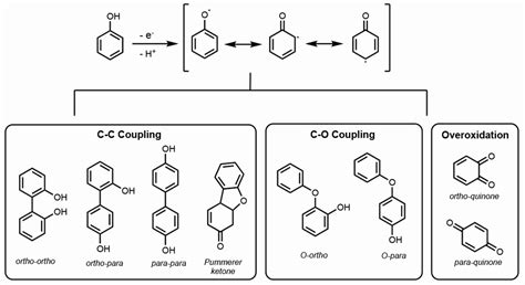 Recent Advances In Oxidative Phenol Coupling For The Total Synthesis Of