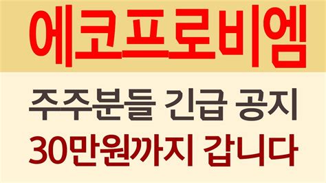 에코프로비엠 주주분들 긴급공지 30만원까지 갑니다 Youtube