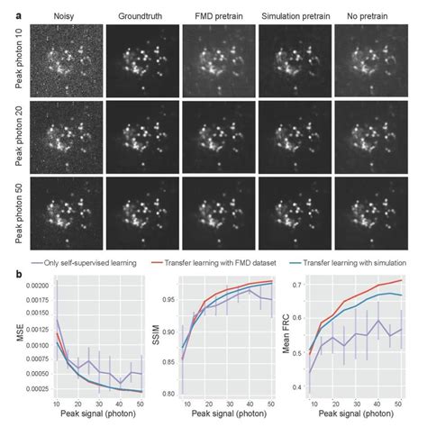 Performance Of Self Supervised Deep Denoising With Transfer Learning On