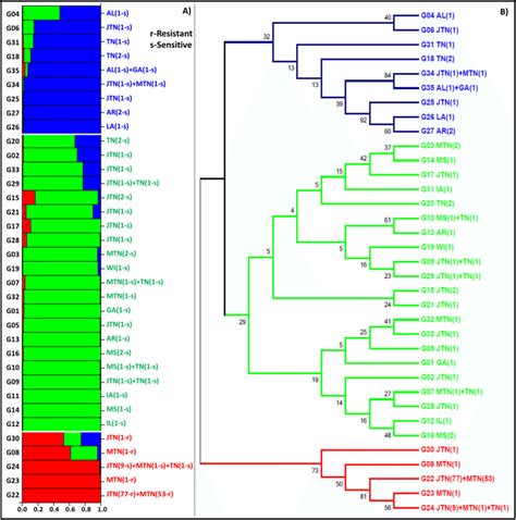 Clustering Of Unique Genotypes Recovered From Samples Of C Download Scientific Diagram