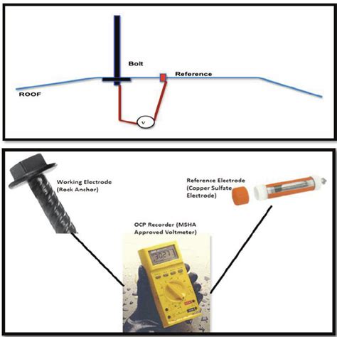 In Situ Open Circuit Potential Measurement Schematic Download Scientific Diagram