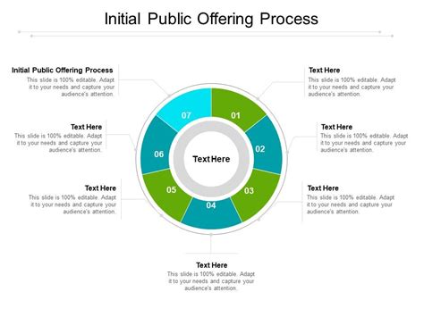 Initial Public Offering Process Ppt Powerpoint Presentation Professional Sl