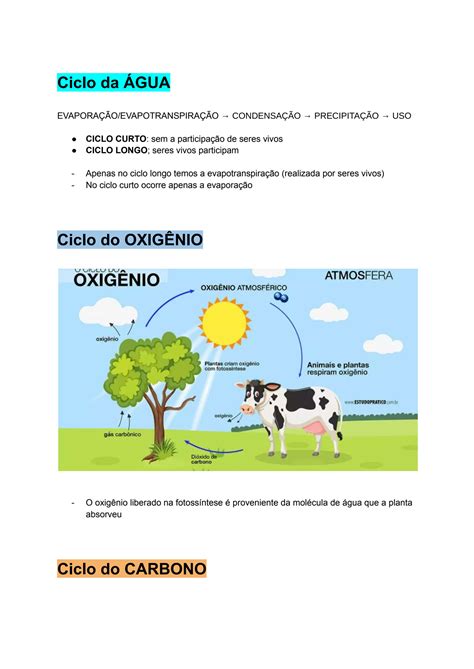 Solution Ciclos Biogeoqu Micos Docx Studypool