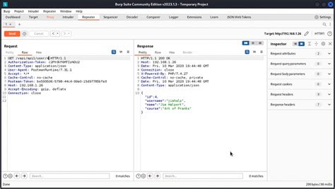 Owasp Api Testing Guide A Visual Guide To Owasp Api Testing With Vapi