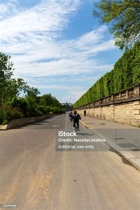 한 무리의 사이클리스트들이 무성한 녹지와 아름다운 푸른 하늘로 둘러싸인 파리의 조용한 나무가 늘어선 길을 따라 평화로운 라이딩을 즐기며 여유로운 여름날에 안성맞춤입니다