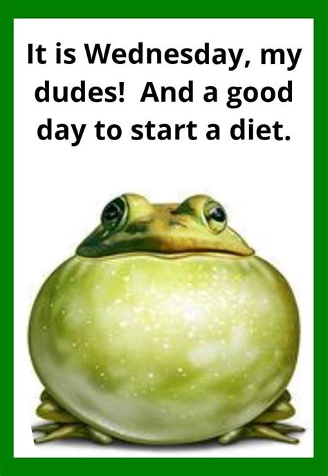 You Calling Us Fat Frog R Meme