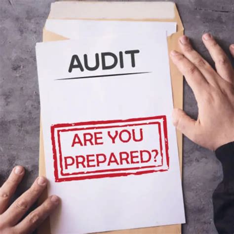Master Statutory Audit Preparation With Expert Assistance Wells Accounting And Tax Services