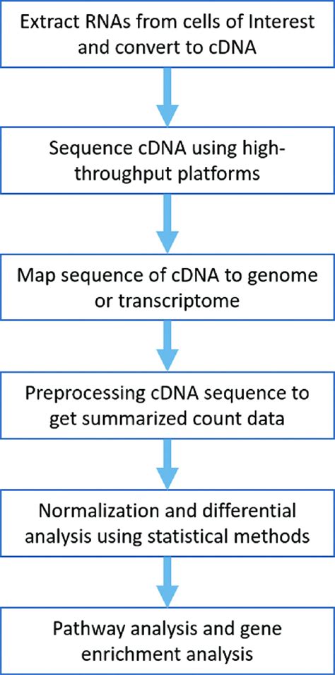 Analysis Flow Of RNA Sequencing Data Download Scientific Diagram