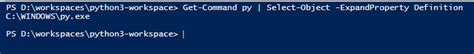 python 3 x powershell do not show string in print when input is