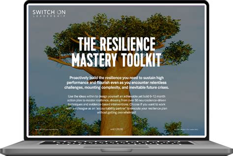 The Resilience Mastery Toolkit Sol