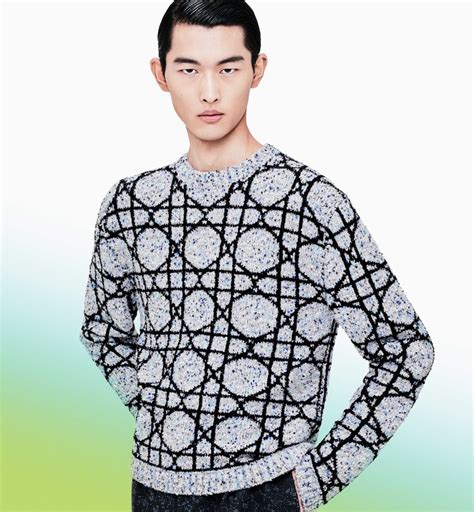 Designer Hoodies And Sweaters For Men Dior Us