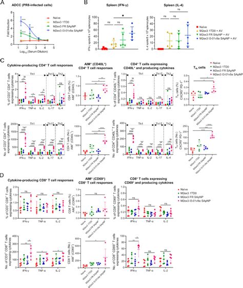 Single Component Multilayered Self Assembling Protein Nanoparticles Displaying Extracellular