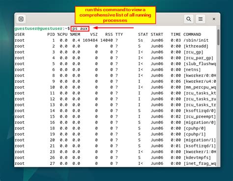 How To Kill A Process On Linux Command Line 5 Best Methods