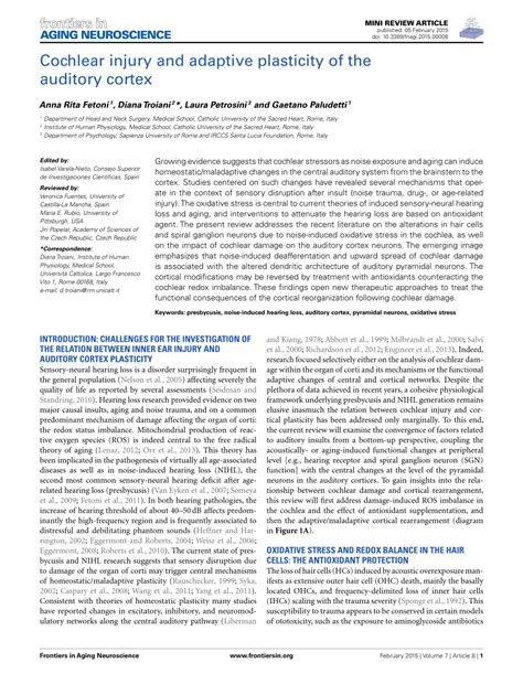 Pdf Cochlear Injury And Adaptive Plasticity Of The Auditory Cortex