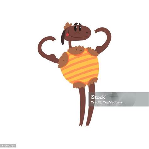 족제비 강한 재미 양 캐릭터 입고 줄무늬 내의 만화 벡터 일러스트 레이 션 0명에 대한 스톡 벡터 아트 및 기타 이미지 0명 Film Festival 갈색 Istock