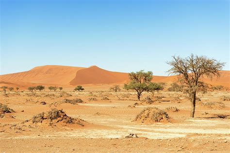 Sand Dune In The Namibian Desert Near Sossusvlei 8 Photograph By Marek
