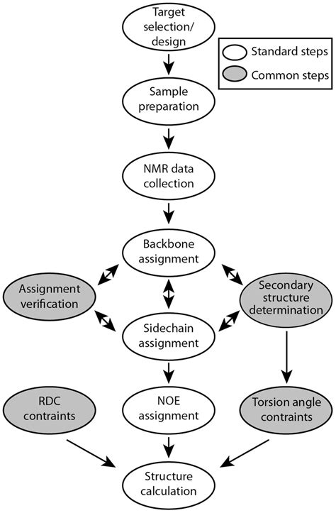 Conventional Steps In Protein Structure Determination By Solution State Download Scientific
