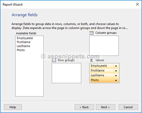 Display Binary Image From Database In Rdlc Report In Aspnet Using C And