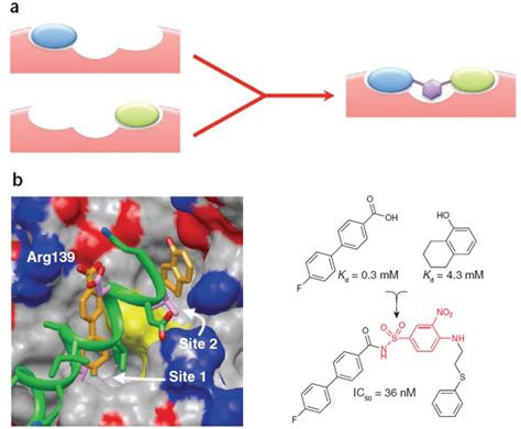 Advancing Fragment Hits By Linking A Fragment Based Screening