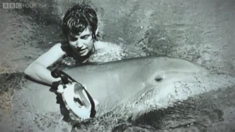 ‘it Was Gentle Woman Describes Sexual Experience With Dolphin During