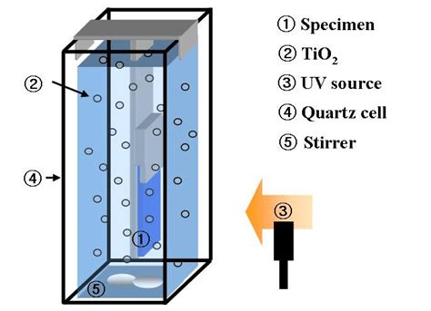Schematic Diagram Of The Surface Modification Apparatus Download