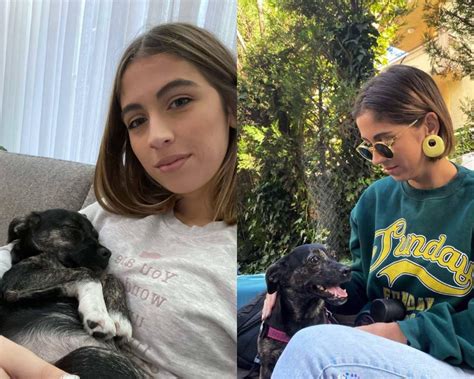 Фросина била прегазена заедно со нејзиното куче Аја кое било пронајдено под автомобилот на Васил