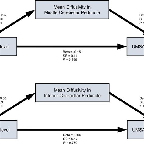 Schematic Diagram Of The Path Analyses Serum Urate Level And Mean