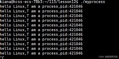 Linux系统 —— 进程系列 进程的概念,pcb与pid和forkpid Pcb Csdn博客 Linux系统 —— 进程系列 进程的概念,pcb与pid和forkpid Pcb Csdn博客