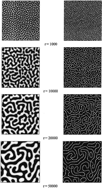 The Time Evolution Of Domain Patterns All The Parameters Are The Same