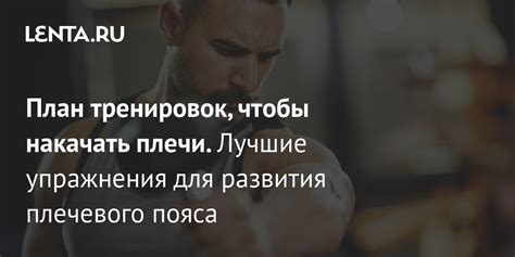 Лучшие упражнения которые помогут накачать плечи базовые тренировки программа тренировок ЗОЖ