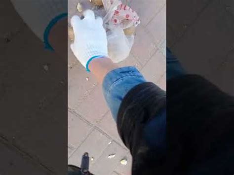 人各有志能力有限身残志不残 保护地球 保护人类生存的环境 为人民服务东北是个四季分明的地方春有生机勃勃夏有热情似火秋有落叶归根冬有