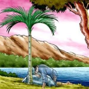 M U V C Y Tr U Cau P Nh T Cho Ng I M I H C