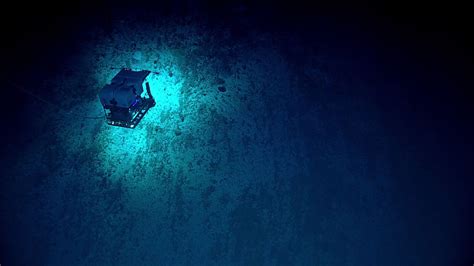 Discover The Mariana Trench The Deepest Place Under The Sea