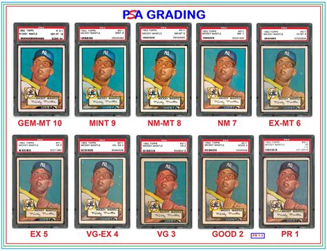 Psa Grading A Complete Guide About Sports Cards Grading Slushweb