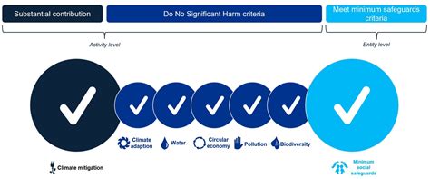 Eus Taxonomy What Does This Regulation Mean