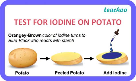 Iodine Test For Carbohydrates