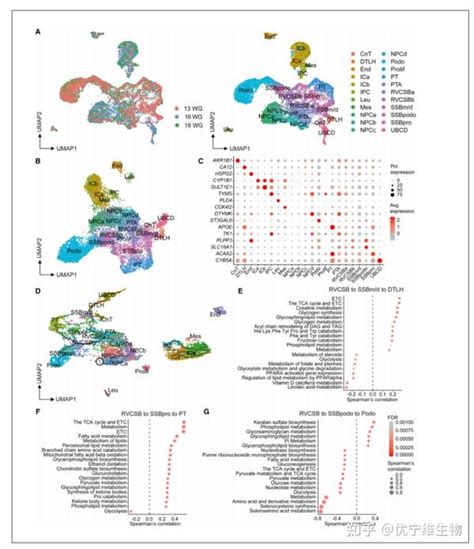 单细胞多组学怎么玩？多种案例分享（一） 知乎