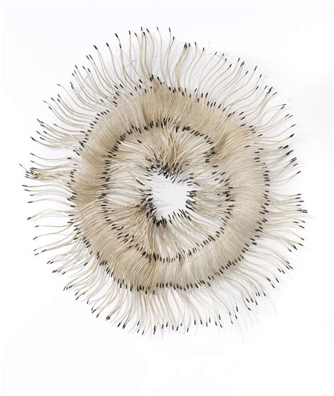 Tracey Deep Spirit Land In Collaboration With Saint Cloche James