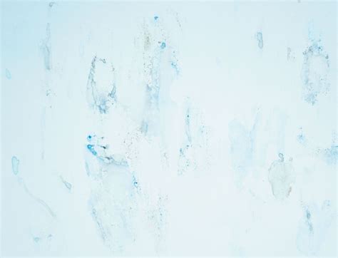 Lighthouse Adult Re Entry Programs Rental Assistance And Employment