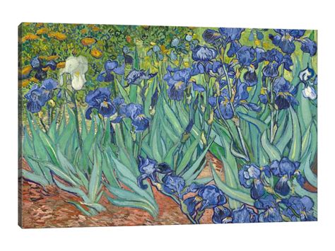 Van Gogh Irises Getty