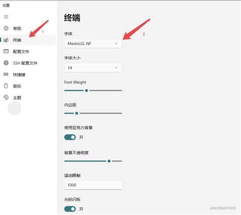 Windows 终端美化方案Fluent Terminal Oh My Posh本文正在参加金石计划 瓜分6 掘金