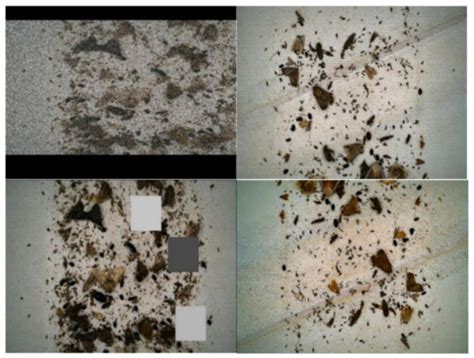 Deep Learning Based Image Recognition Of Agricultural Pests