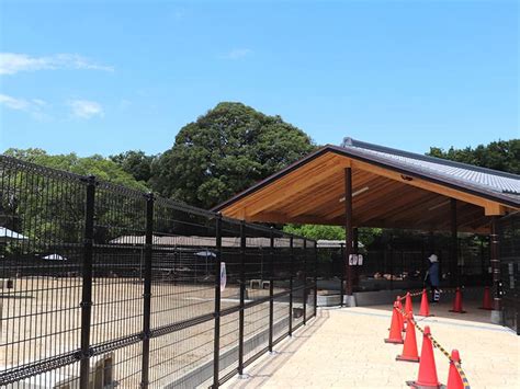 〈奈良市〉産まれたての赤ちゃん鹿に会いに行こう♪ 親子鹿の一般公開が開始！（7 14まで） 奈良の地域密着型・総合情報サイト