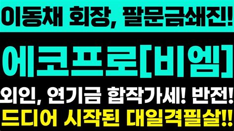 에코프로 에코프로비엠 주가전망 이동채 회장 팔문금쇄진 외인연기금 합작가세 반전 드디어 시작된 대일격필살
